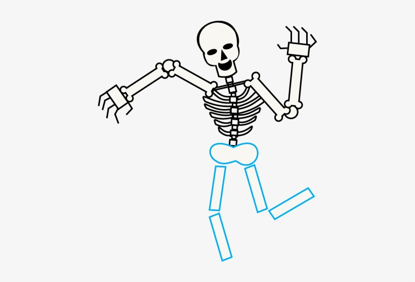 Download Drawn Skeleton Line Drawing - Cartoon Skeleton Transparent ...