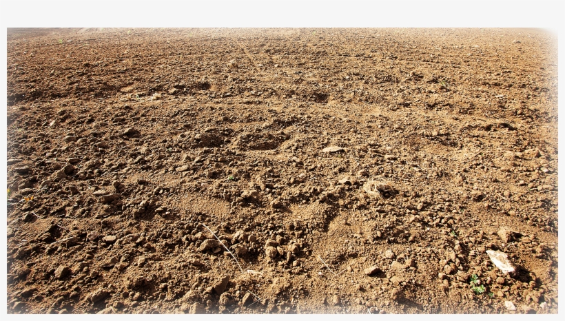 See Color Reference - Ground Texture PNG Image | Transparent PNG Free ...