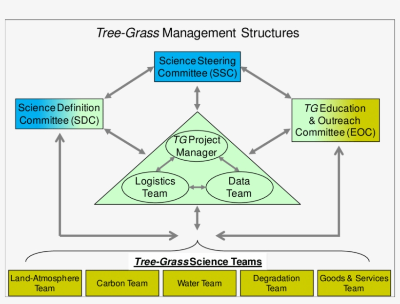 Management And Organizational Structures For Tree-grass, - Diagram PNG ...