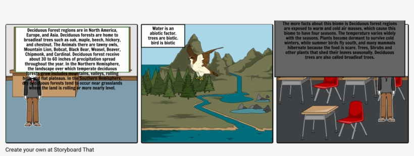 Storyboard - Tree PNG Image | Transparent PNG Free Download on SeekPNG