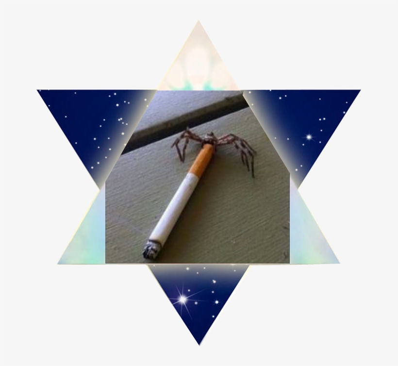 Praise The Spider PNG Image | Transparent PNG Free Download on SeekPNG