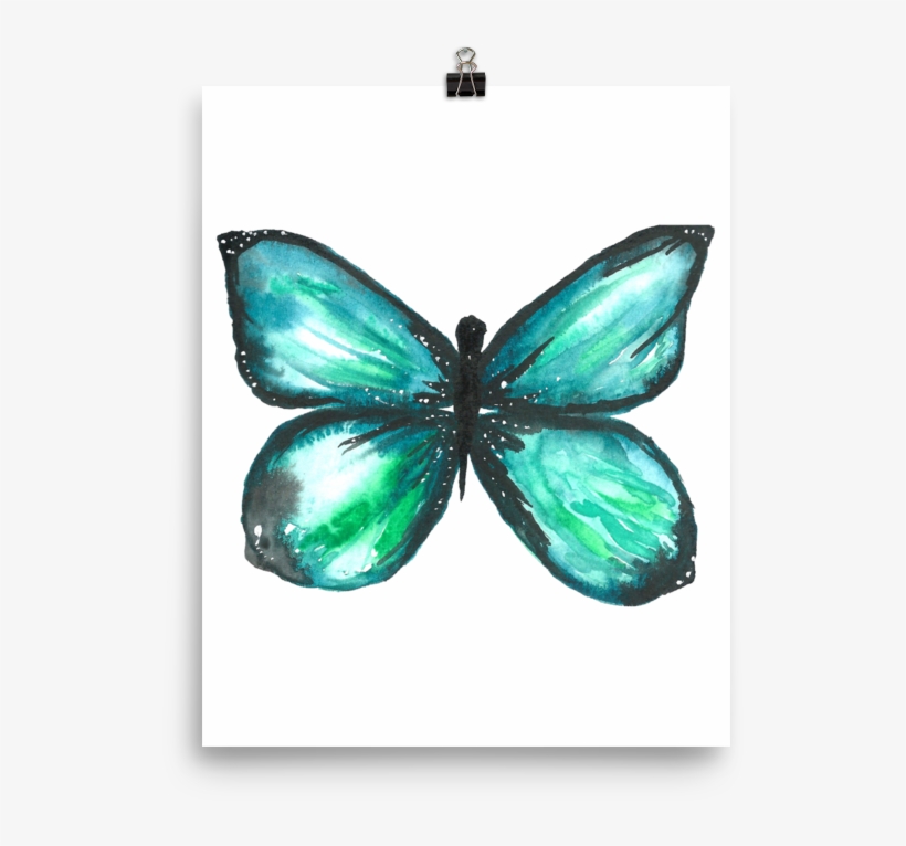 Green Butterfly Matte Paper Poster - Riodinidae PNG Image | Transparent ...