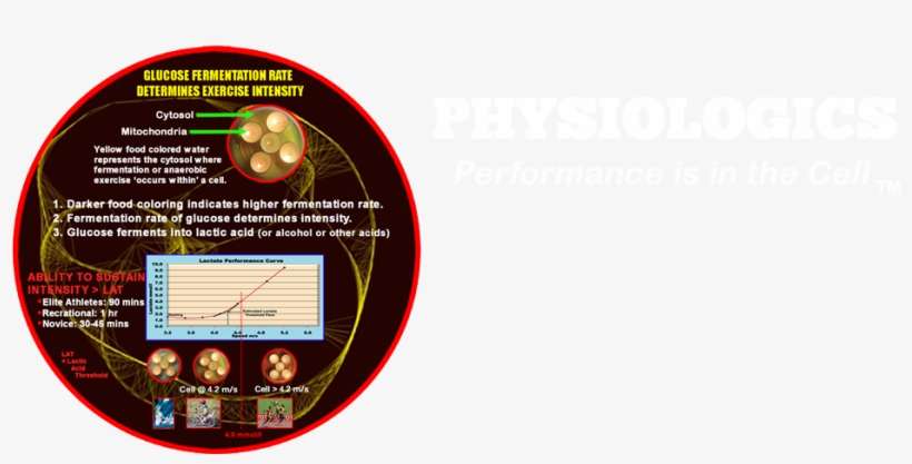 The Physical Rules - Circle PNG Image | Transparent PNG Free Download ...