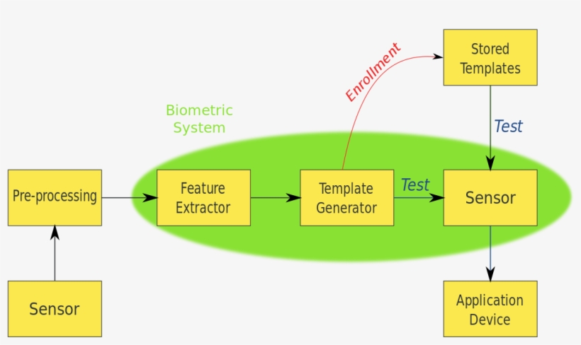 Biometric System Diagram - Biometric Diagram PNG Image | Transparent ...