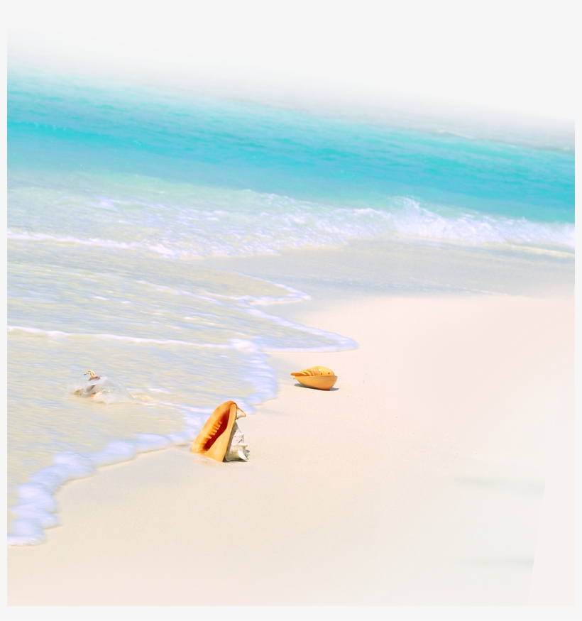 Download Sand Beach Background - Beach Ridge | Transparent PNG Download ...