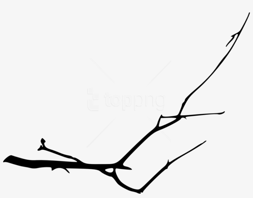 Download Free Png Simple Tree Branch Png - Line Art | Transparent PNG ...