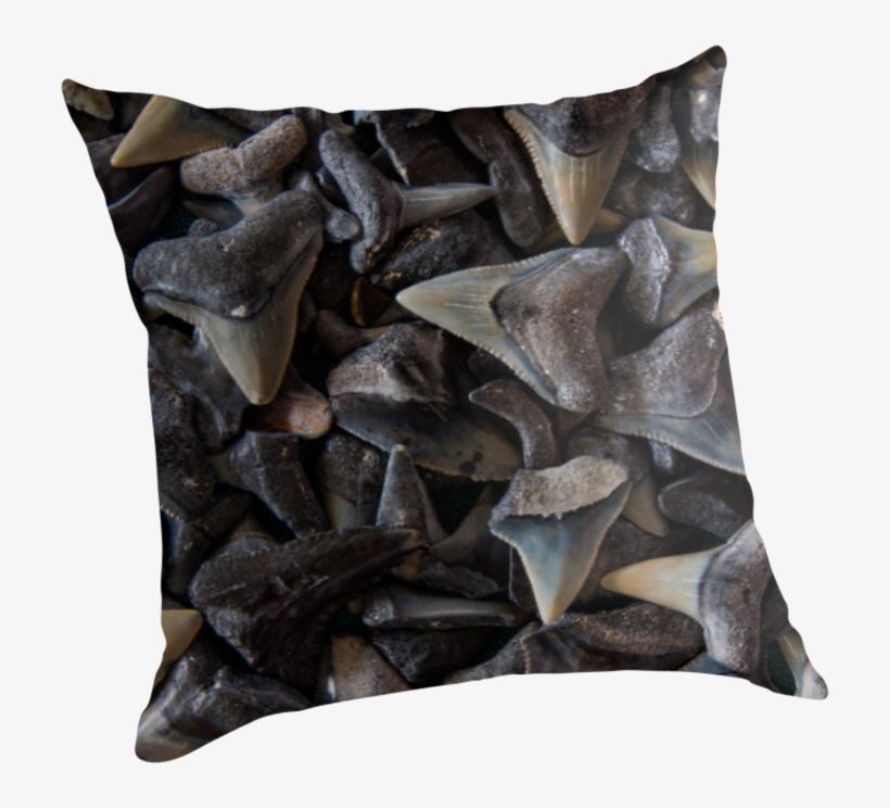 Sharks Teeth By Randysylvia - Cushion PNG Image | Transparent PNG Free ...