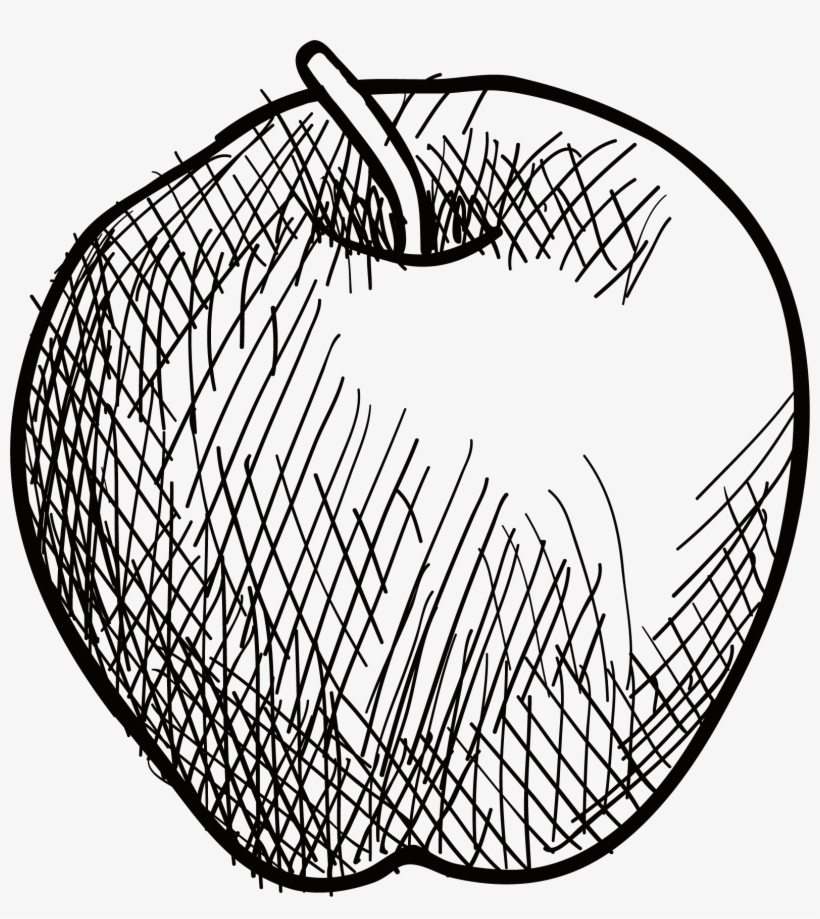 1584 X 1698 2 - Drawing Of Apple Png PNG Image | Transparent PNG Free ...