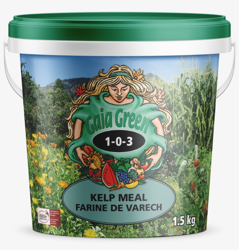 Gaia Green PNG Image | Transparent PNG Free Download on SeekPNG