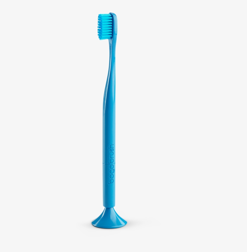 Download Tooth Brush Png - Toothbrush | Transparent PNG Download | SeekPNG