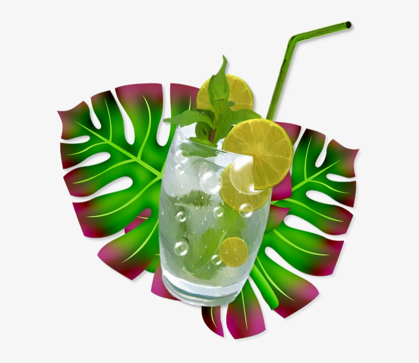 Fizz PNG Image | Transparent PNG Free Download on SeekPNG