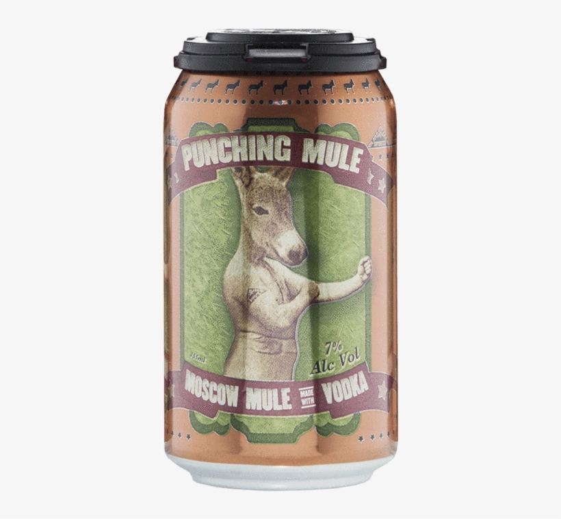 Kombucha PNG Image | Transparent PNG Free Download on SeekPNG