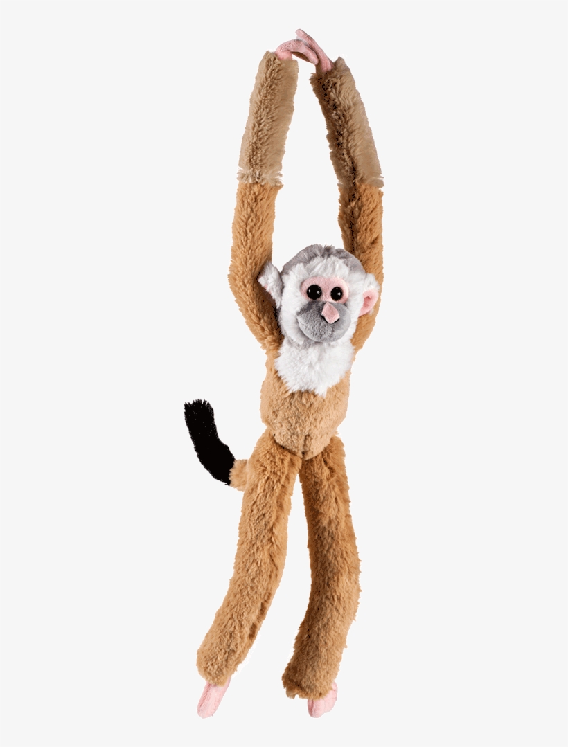 Download Petjes World - Stuffed Toy | Transparent PNG Download | SeekPNG
