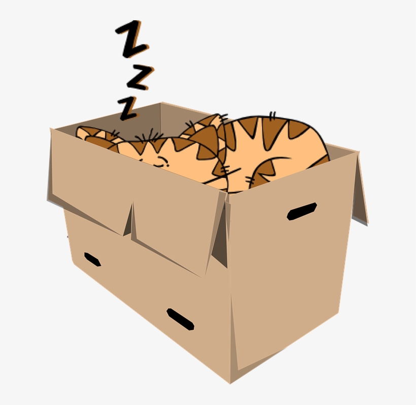 Cat In Box Png - Cartoon Cat PNG Image | Transparent PNG Free Download ...