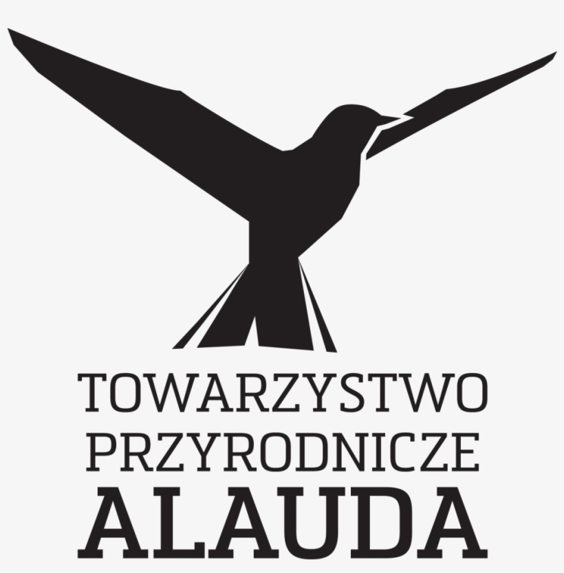 Download Alauda Logo 1500 Pion - Poster | Transparent PNG Download ...
