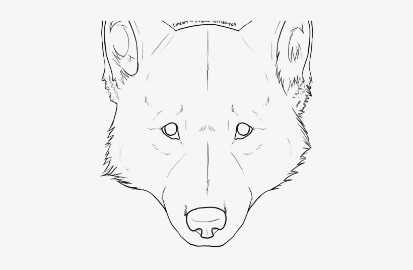 640 X 480 2 - Drawing Of A Wolf Face PNG Image | Transparent PNG Free ...