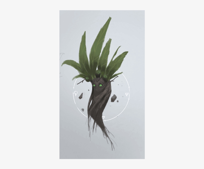Mandragora - Agave PNG Image | Transparent PNG Free Download on SeekPNG