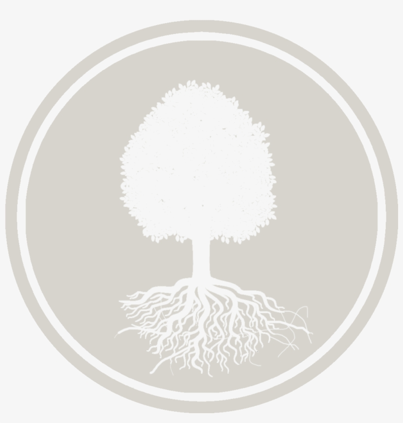 Environmental Protection - - Illustration PNG Image | Transparent PNG ...