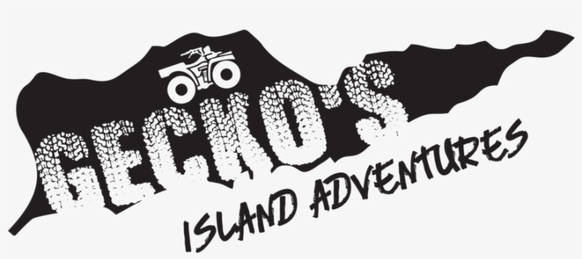 Geico Gecko Png PNG Image | Transparent PNG Free Download on SeekPNG