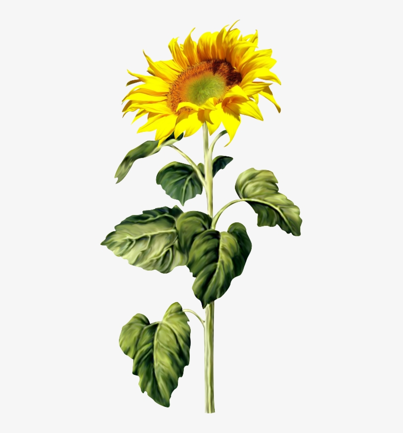 Download Imágenes De Girasoles - Sunflower Pixel Art Minecraft ...