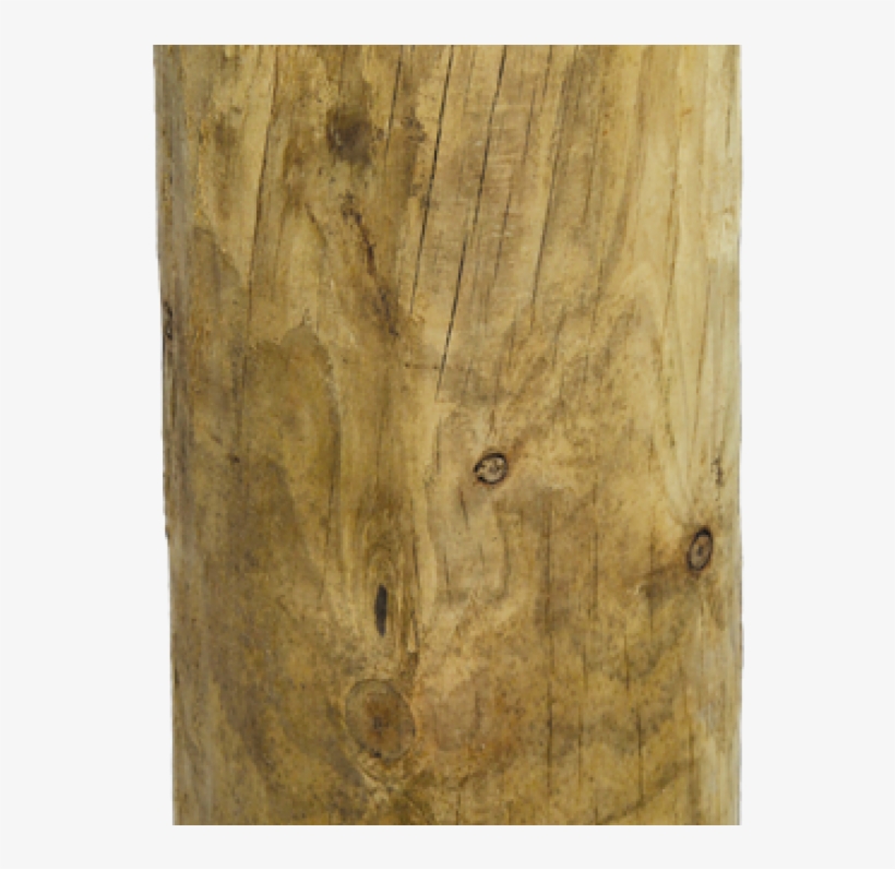 Download H5 Round Post | Transparent PNG Download | SeekPNG