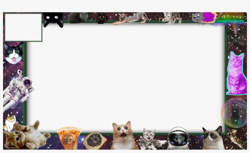 Twitch Cat Overlay - Obs Overlay Space PNG Image | Transparent PNG Free ...