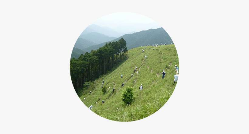 Company Icon5 - Biophysical Environment PNG Image | Transparent PNG ...