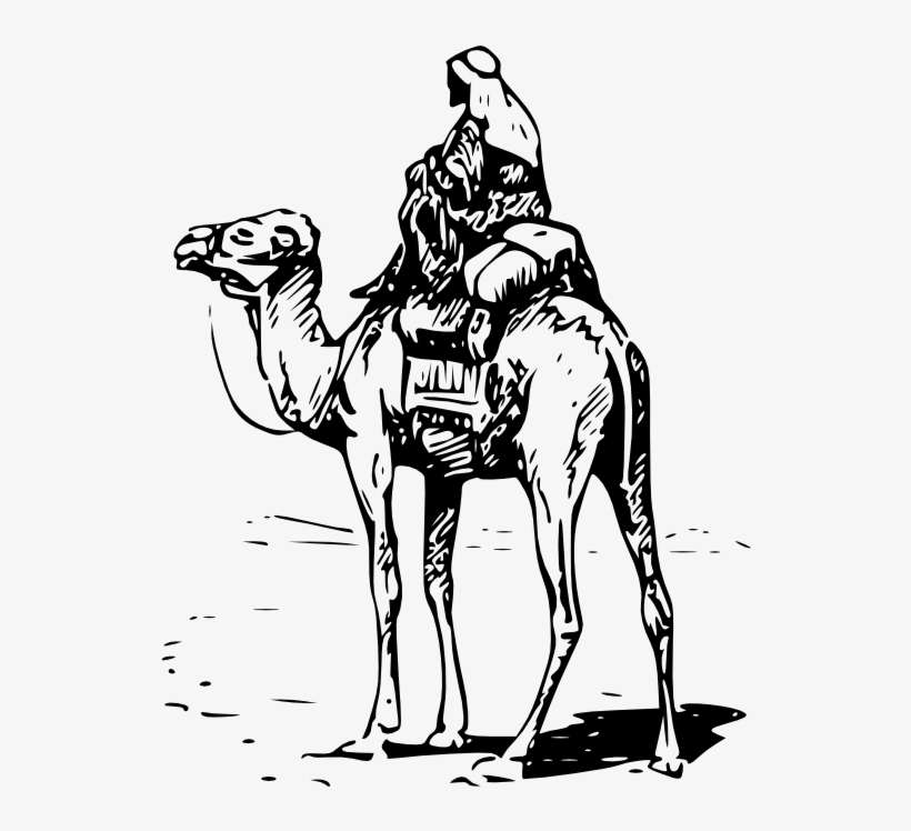 Free Vector Person Riding Camel Clip Art - Jesus Riding A Camel PNG ...