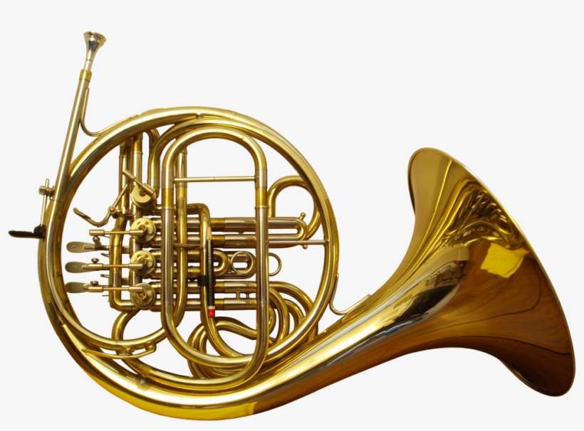 French Horn Back - French Horn Instrument PNG Image | Transparent PNG ...