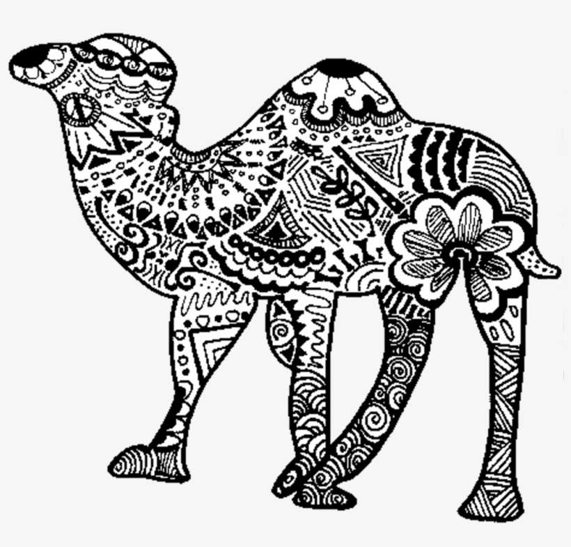 Camel Zentangle - Camel In Zentangle PNG Image | Transparent PNG Free Download on SeekPNG