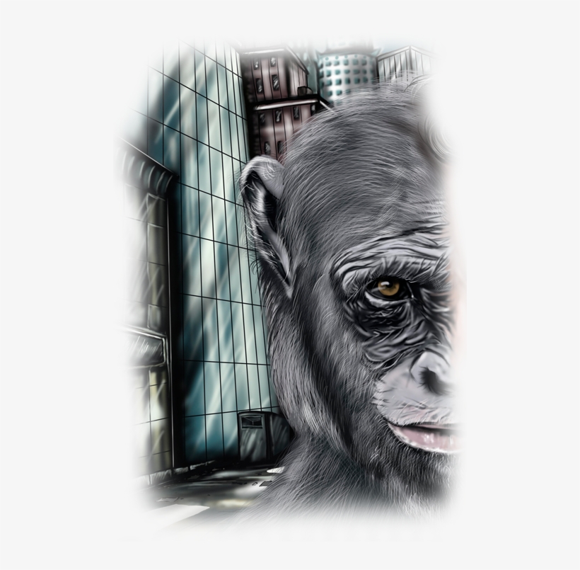 Chimpface - Common Chimpanzee PNG Image | Transparent PNG Free Download ...