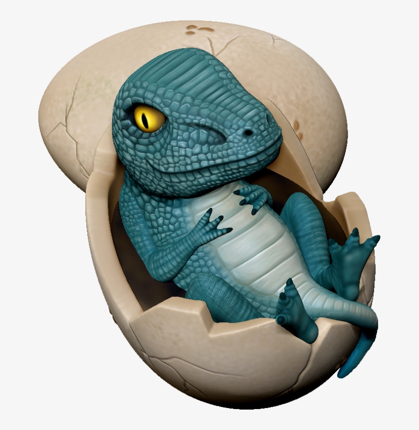 Colour Texture - Inflatable PNG Image | Transparent PNG Free Download ...