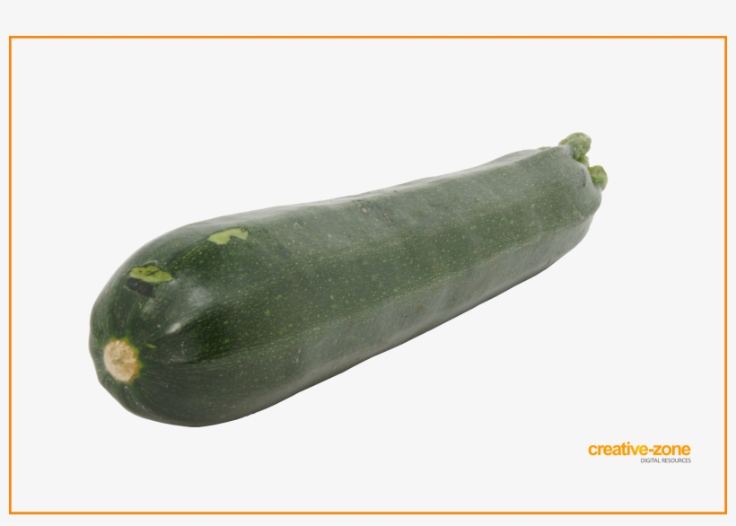 Zucchini Transparent - Zucchini Transparent Background PNG Image ...