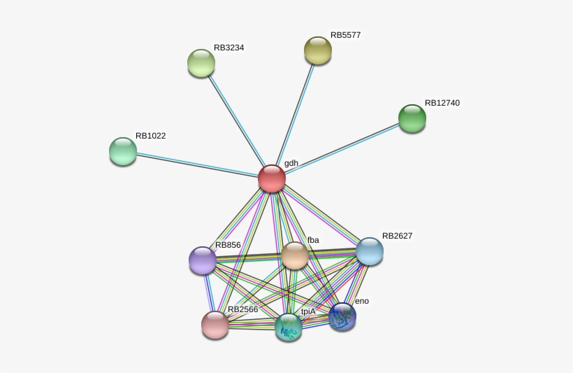 Circle PNG Image | Transparent PNG Free Download on SeekPNG