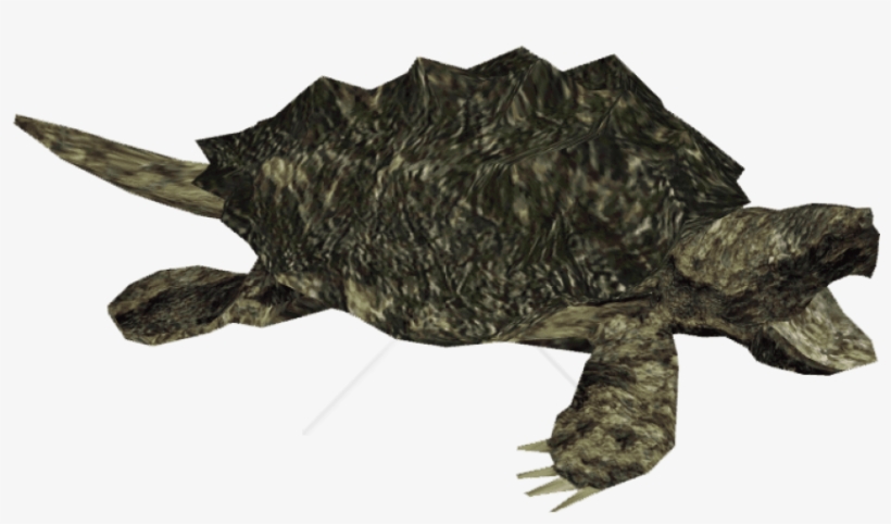 Free Png Snapping Turtle Png Image With Transparent - Alligator ...