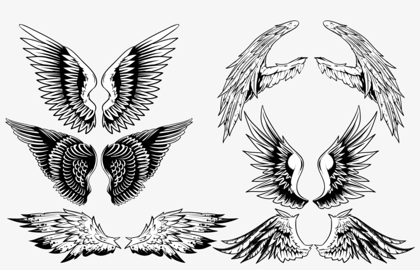 Bird Wings Design