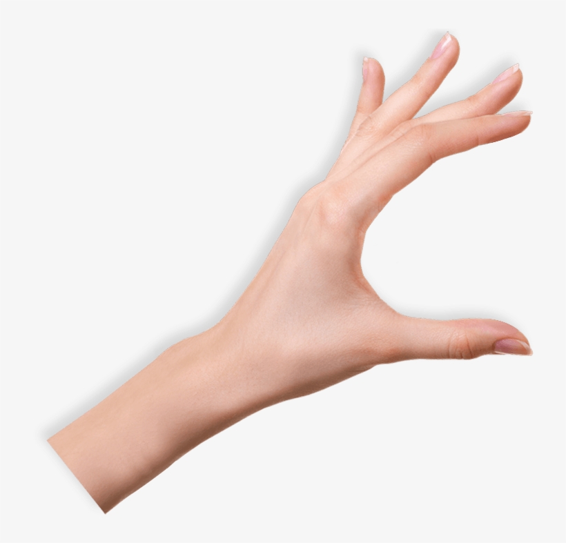 Png Hd Of Hands Transparent Hd Of Hands Png Images - Hand Hd Png PNG ...