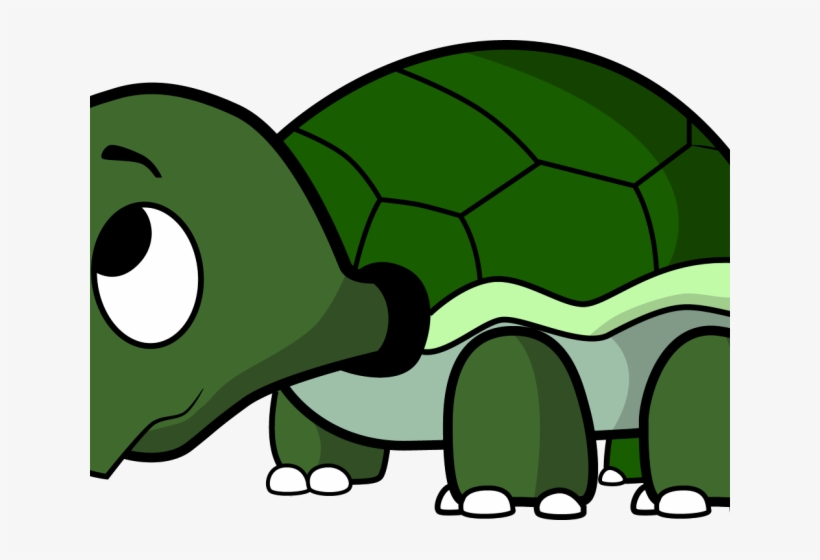 Turtoise Clipart Racing Turtle - Transparent Background Tortoise ...
