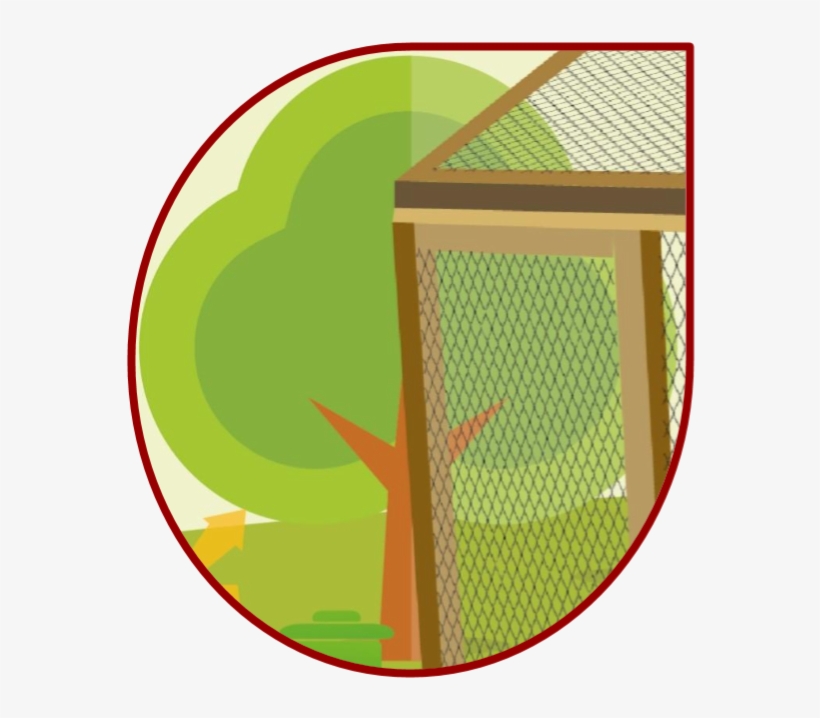 The Chicken Run - Colorfulness PNG Image | Transparent PNG Free ...