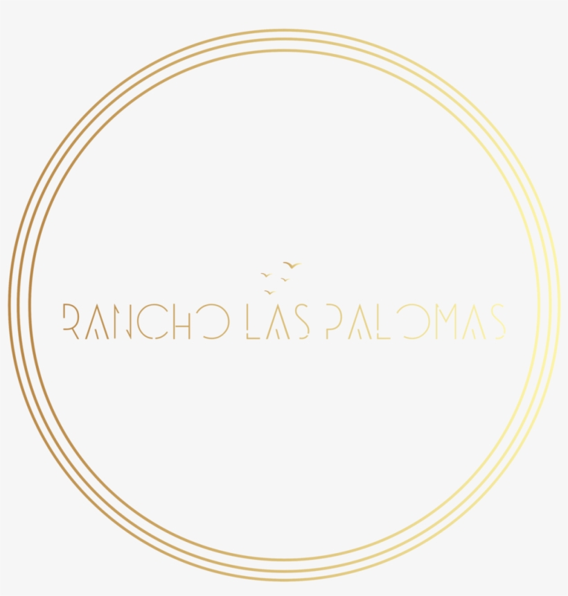 Palomas Png PNG Image | Transparent PNG Free Download on SeekPNG