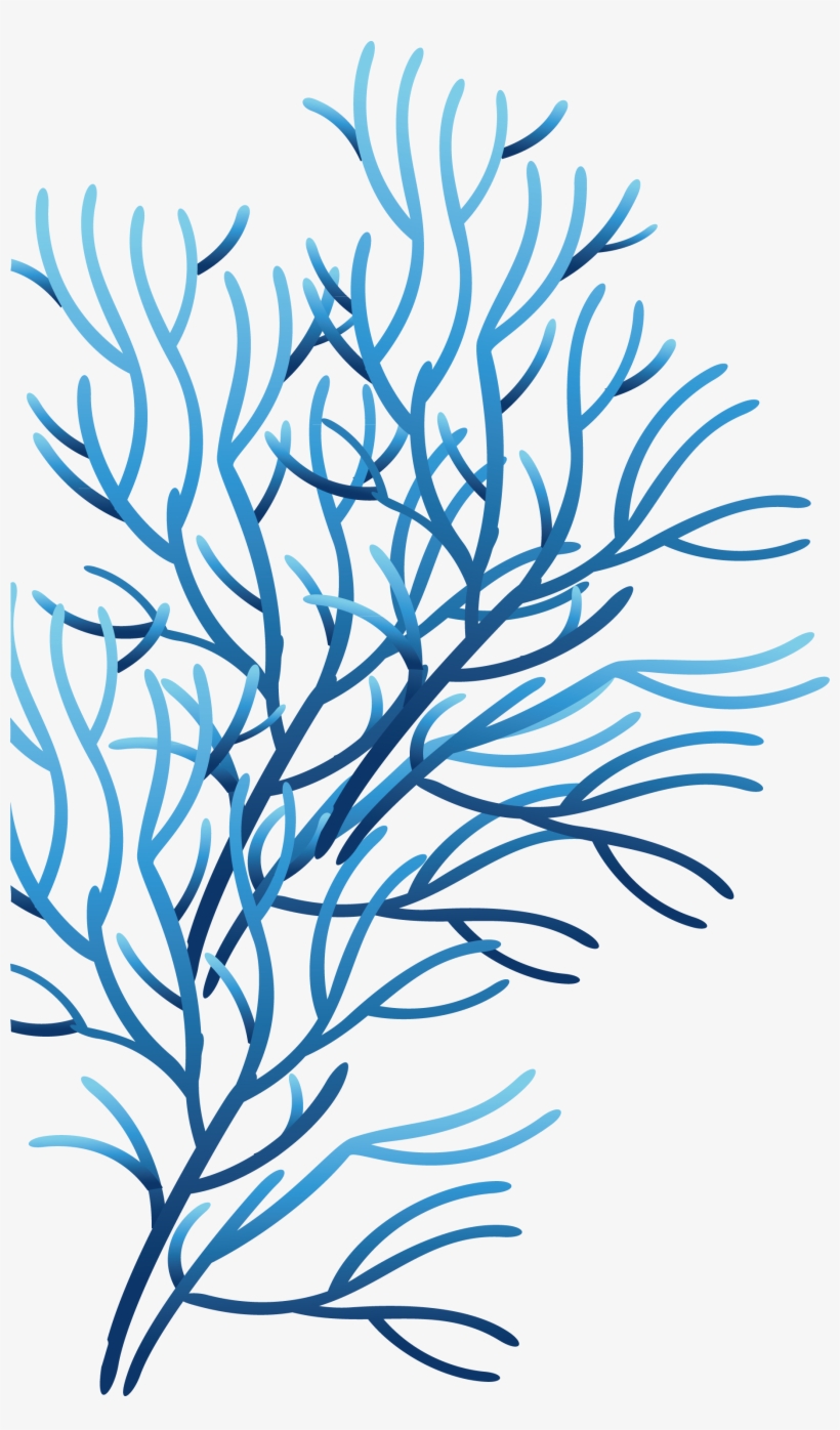 Algae Png - Sea Coral Png PNG Image | Transparent PNG Free Download on ...