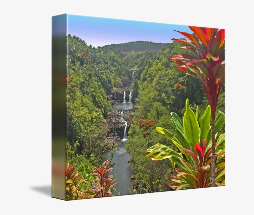 Waterfall Hilo Hawaii By Steven Schiller - Botanical Garden PNG Image ...