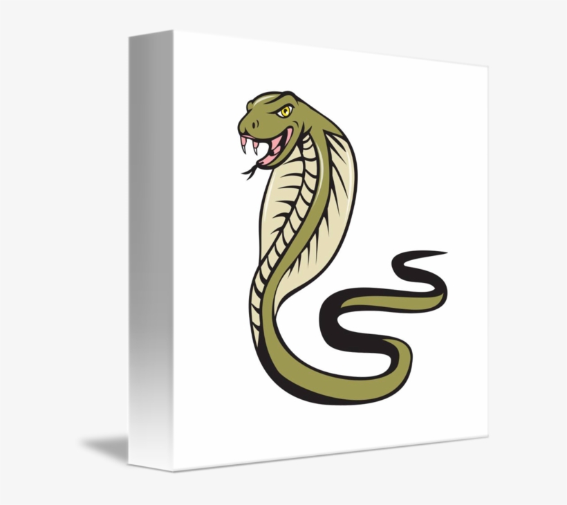 Viper Snake Cartoon By Aloysius Patrimonio - Viper Snake Cartoon PNG ...