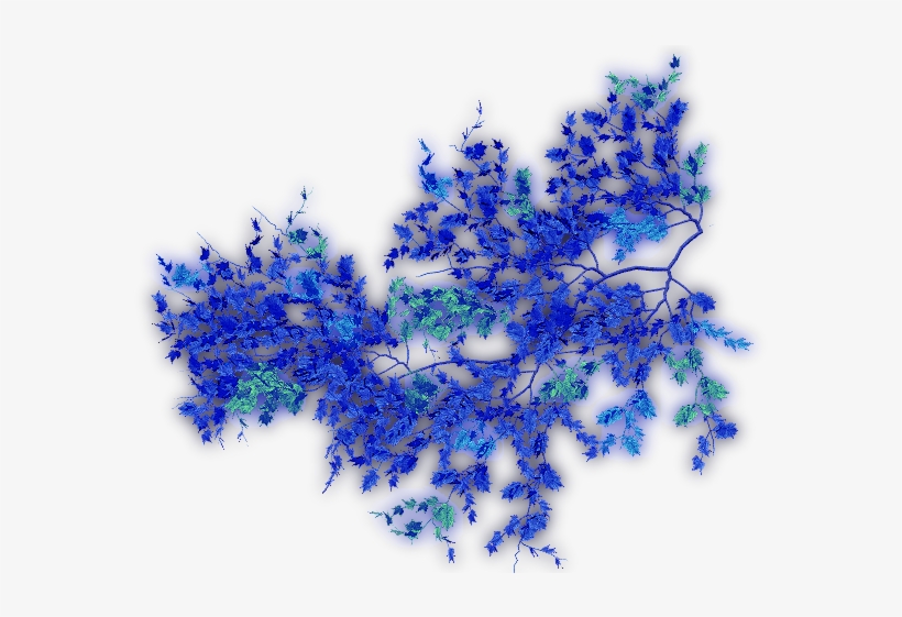 07 349k Creepers Blue G 06 Feb 2009 - Fractal Flower Png Transparent ...