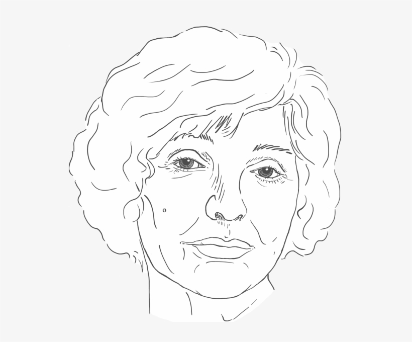 Sketch PNG Image | Transparent PNG Free Download on SeekPNG