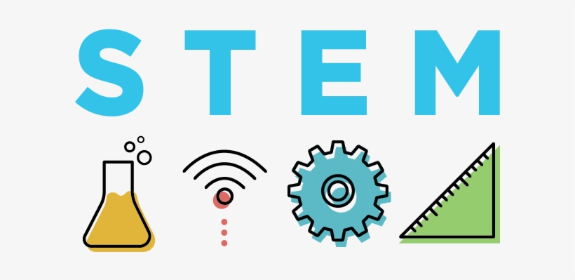 Stem Png PNG Image | Transparent PNG Free Download on SeekPNG