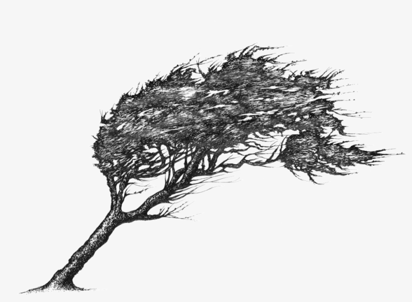 1000 X 1000 1 - Monochrome PNG Image | Transparent PNG Free Download on ...