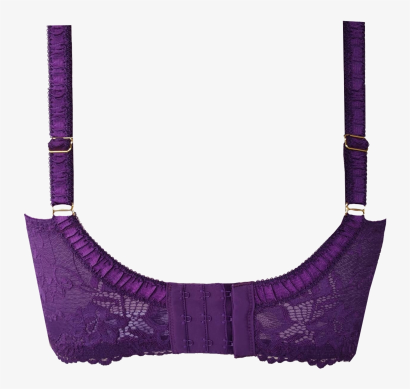 Support Serena Lace Bra Crown Jewel Brad04 2221crownjewel - Lingerie ...