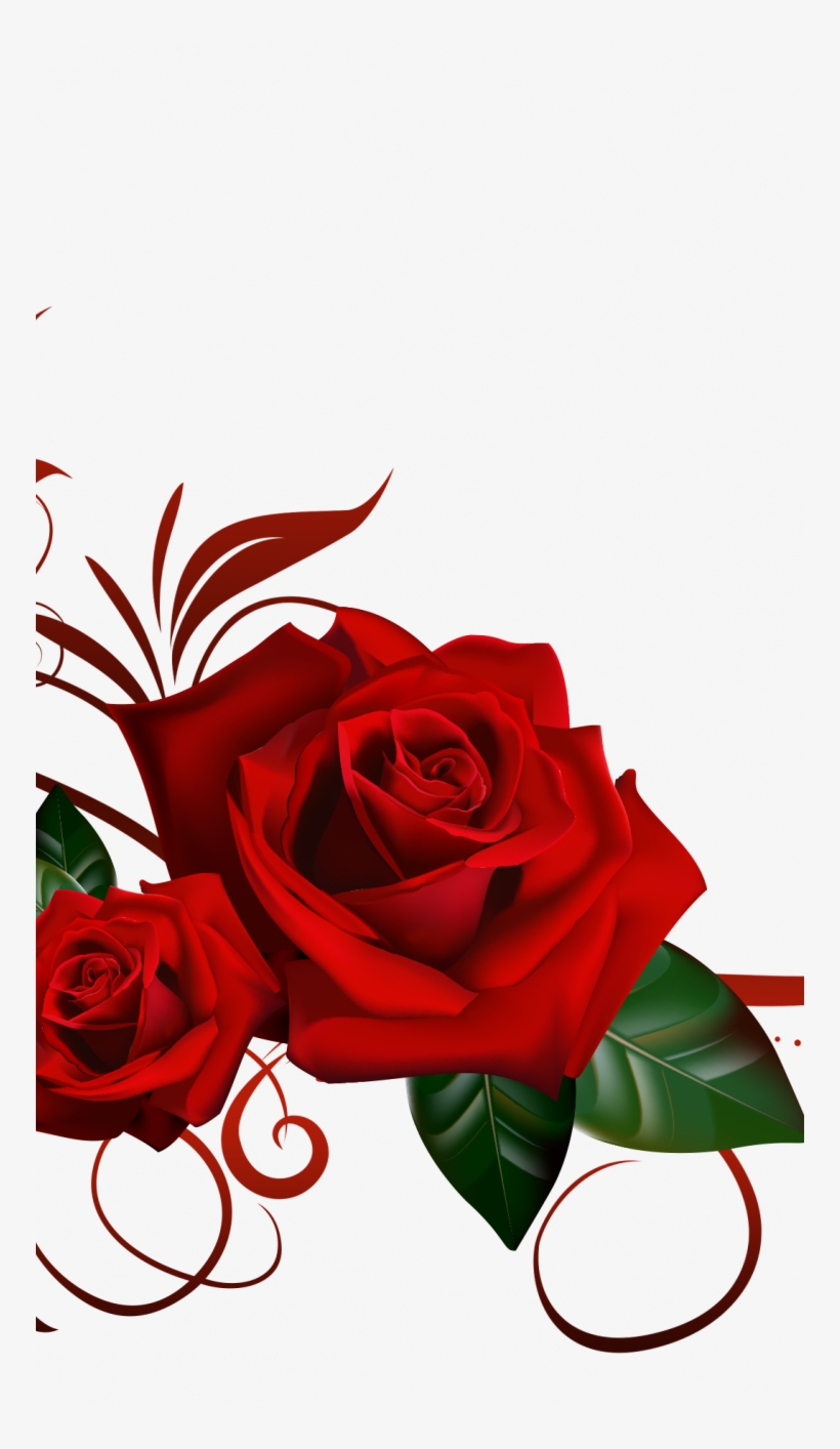 Resolution - PNG Image | Transparent PNG Free Download on SeekPNG