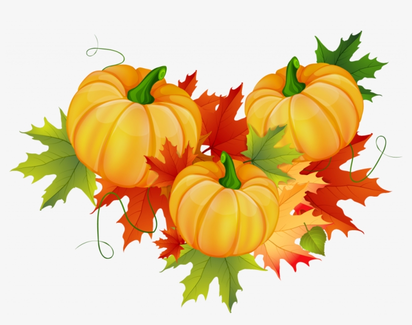 Decorative Clipart Thanksgiving - Fall Pumpkin Patch Clipart PNG Image ...